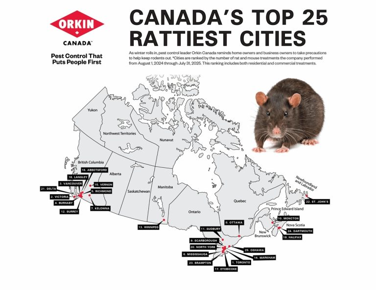 Rat problems persist as Toronto and Mississauga rank among worst in ...