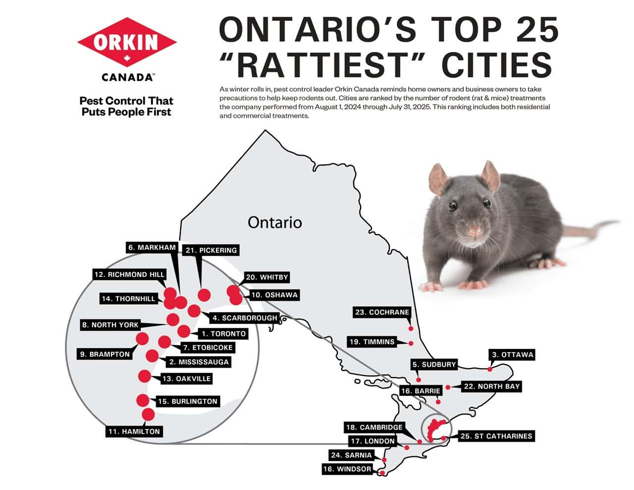 Rat problems persist as Toronto and Mississauga rank among worst in ...