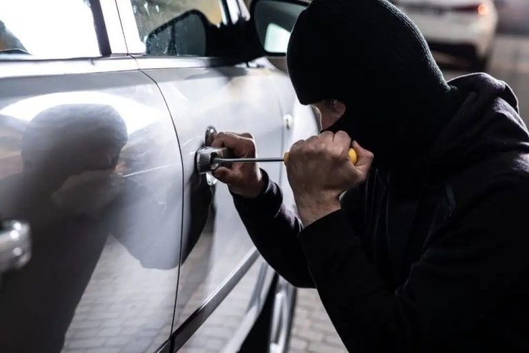 306 stolen vehicles were headed from Canada to various other countries ...