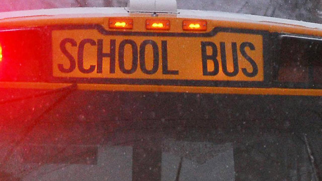 School bus hits car, vehicle strikes woman on QEW in Ontario | INsauga