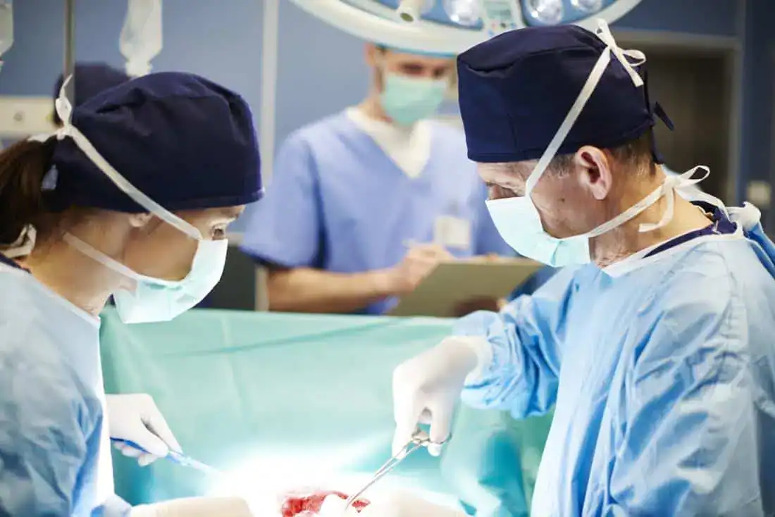 Turning loss into legacy: Ontario hospital group honoured for organ and ...