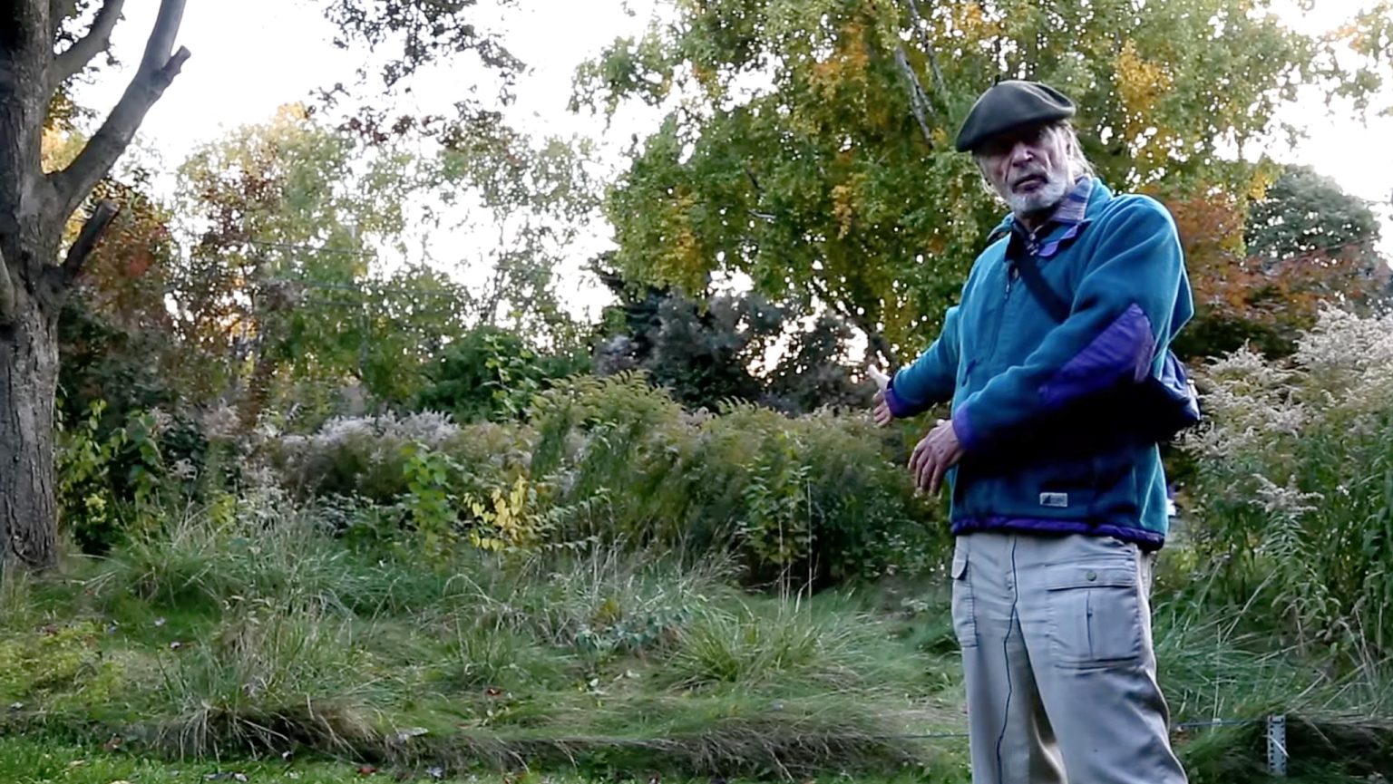 Man wins court battle over un-mowed, natural lawn in Mississauga | INsauga