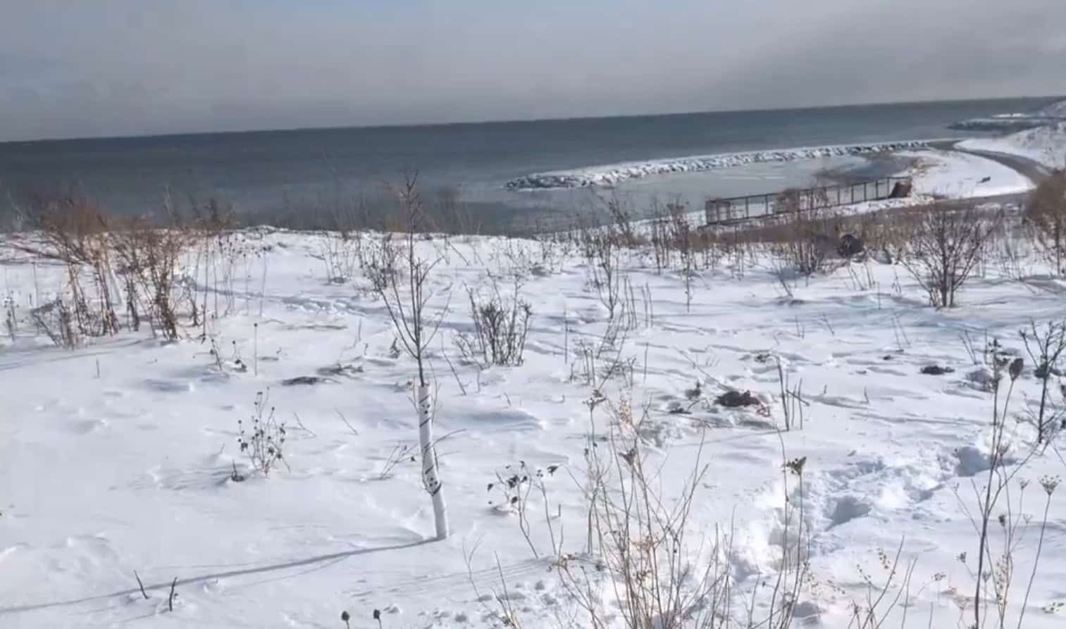 2 months until new conservation area 'transforms' Lake Ontario ...