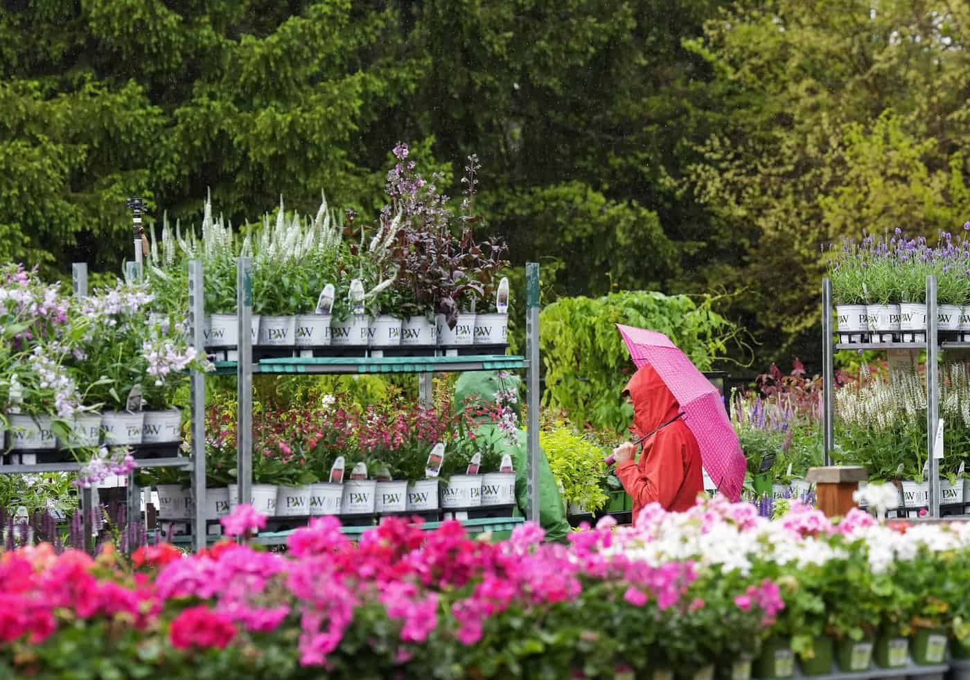 Here's what to expect this spring in Ontario and Canada: Weather ...