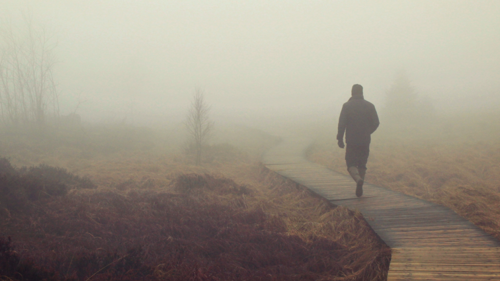 Feb. 15 weather: Fog, cloudy skies and mild temperatures to settle over ...