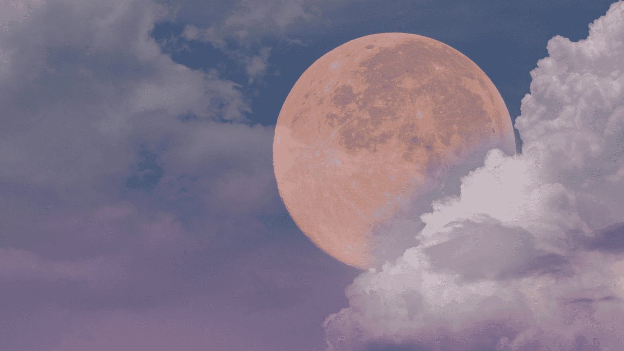 ‘Pink Moon’ to rise over Ontario next month as first full moon of ...
