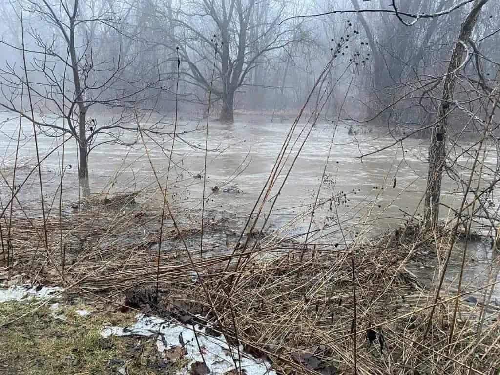 Heavy rain could lead to flooding in Mississauga: city | INsauga