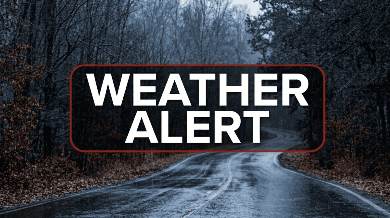WEATHER ALERT: Freezing rain could hit parts of southern Ontario | INsauga