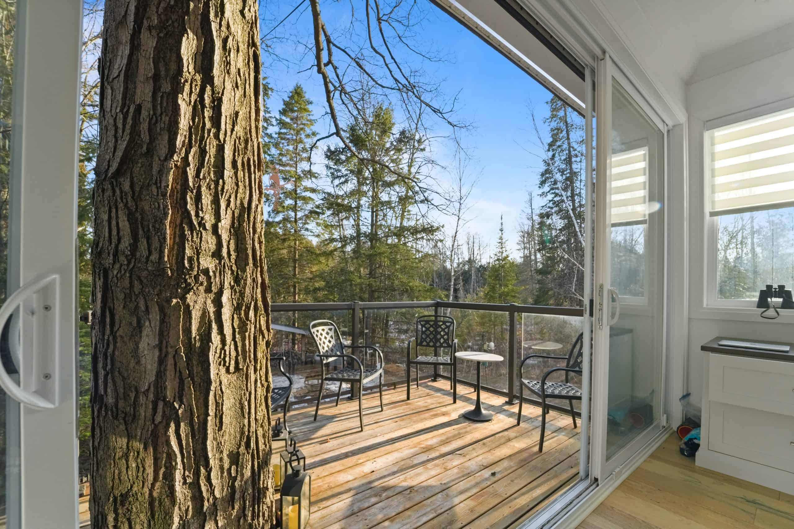 House of the week: $2.9M triangular home blends nature and unique ...