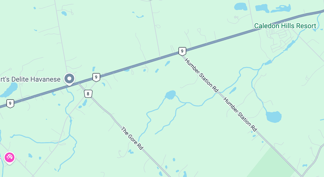 CLOSURE: Highway lanes closed due to crash north of Brampton | INsauga