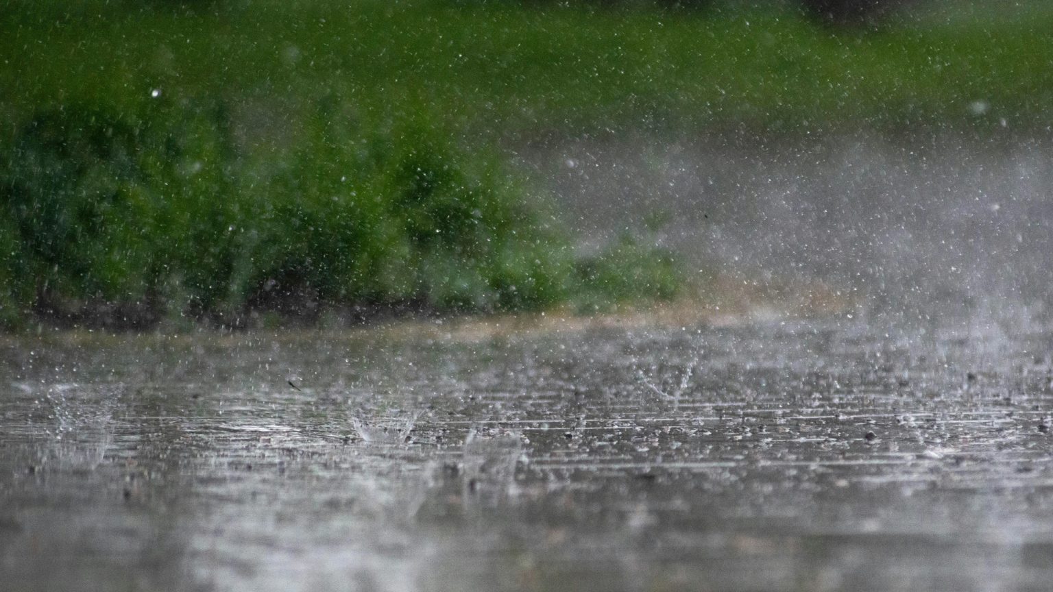 Special weather alert in affect for parts of southern Ontario | INsauga